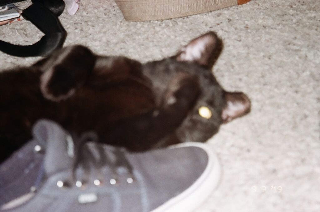 Shared Photo 000359980011 - The Darkroom FOS